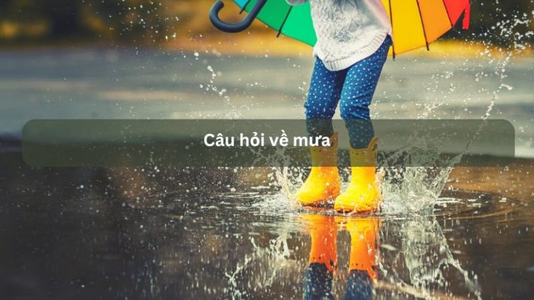 Mưa là gì? Quá trình hình thành và nguyên nhân gây mưa